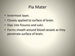 The meninges | PPTX