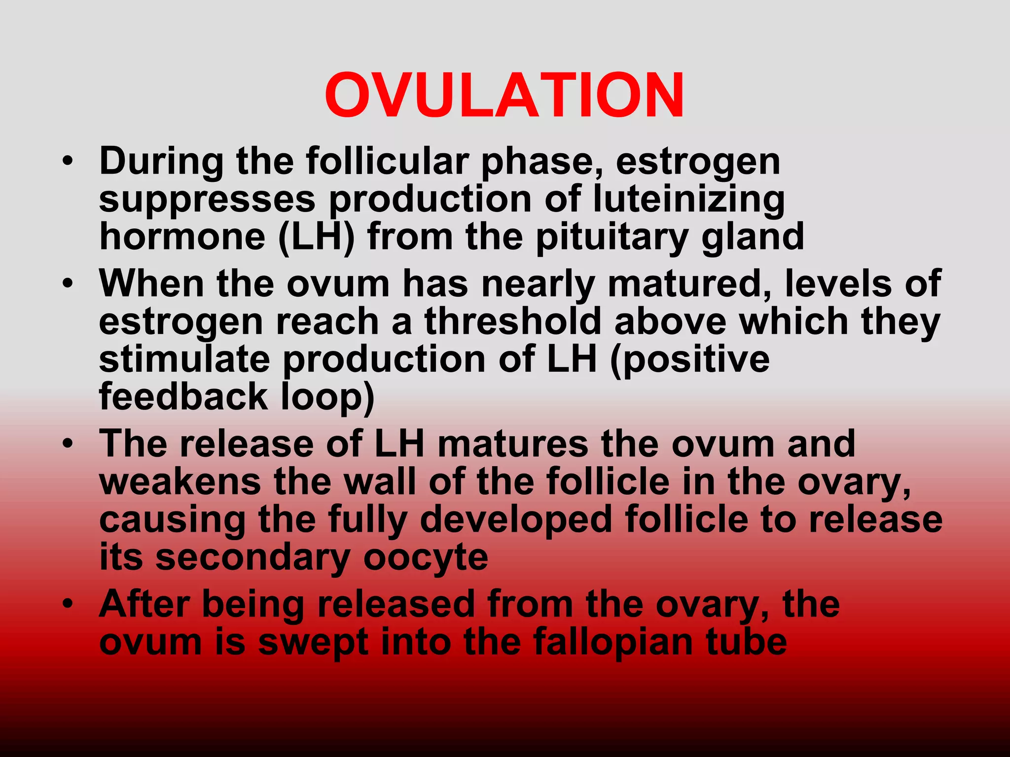 The menstrual cycle | PPTX