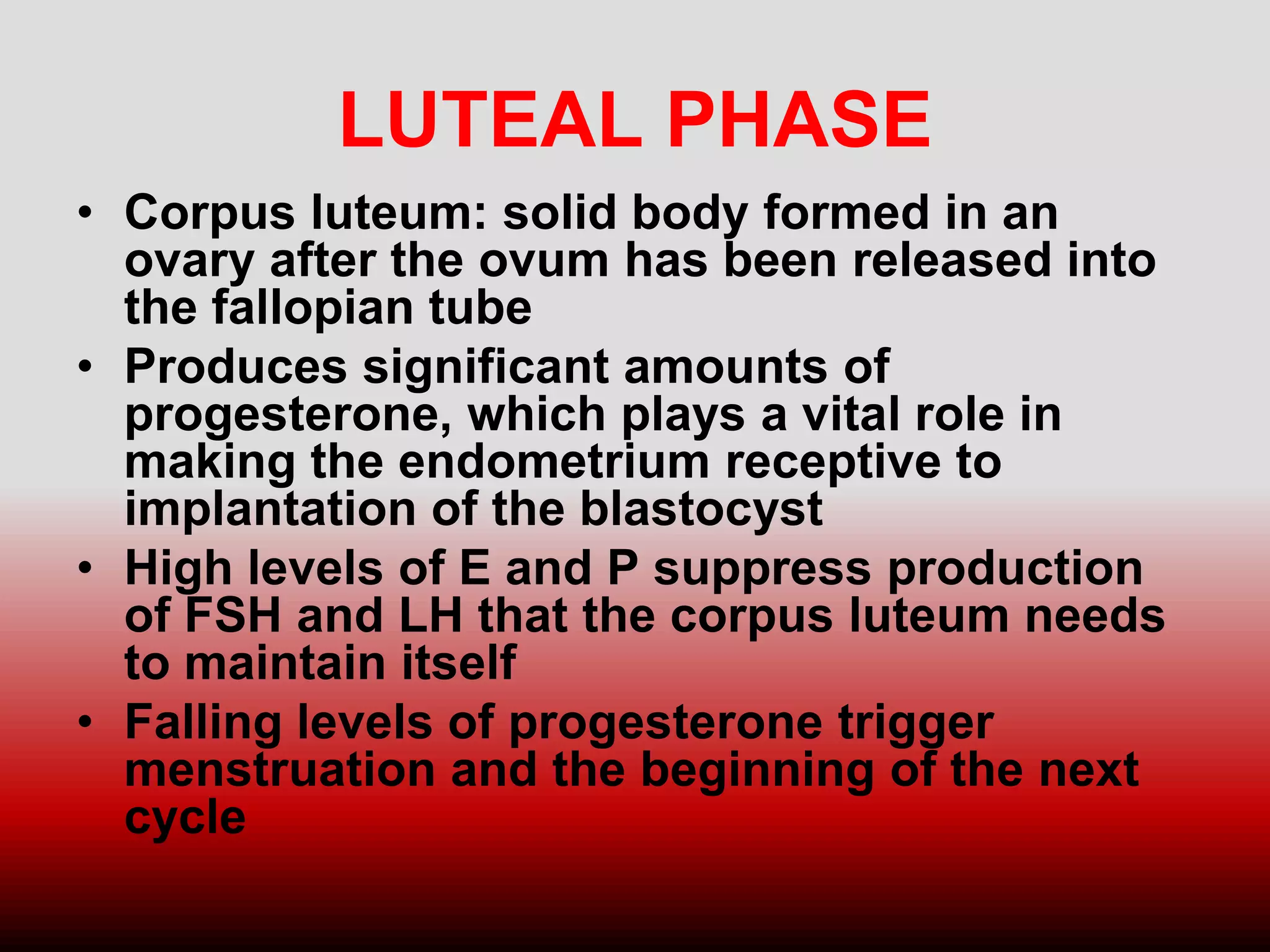 The menstrual cycle | PPTX