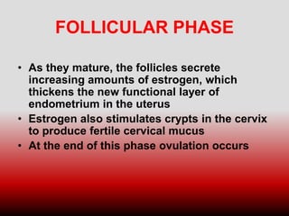 The menstrual cycle | PPTX