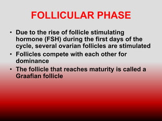 The menstrual cycle | PPTX