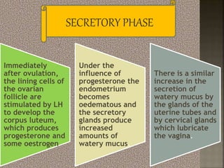The menstrual cycle | PPTX