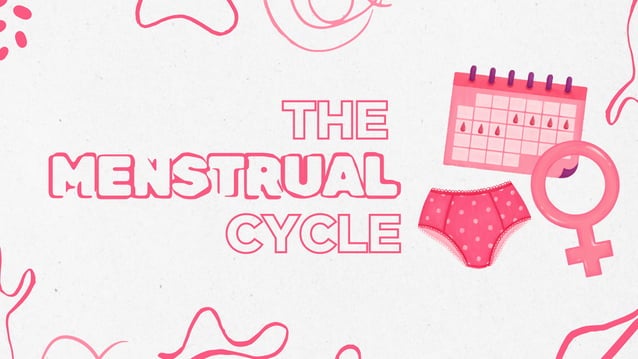 THE MENSTRUAL CYCLE - GRADE 10 PPT SCIENCE | PPT