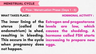 THE MENSTRUAL CYCLE - GRADE 10 PPT SCIENCE | PDF
