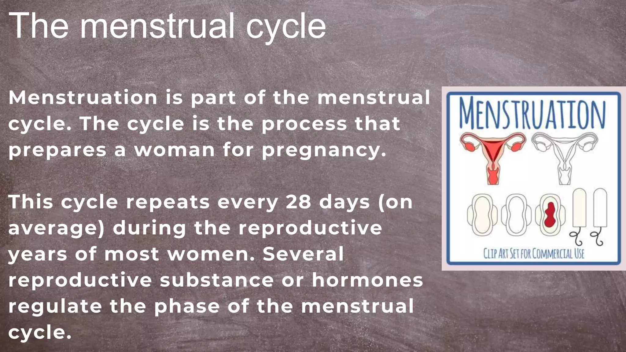 The Menstrual Cycle- Science Presentation Grade 5.pptx