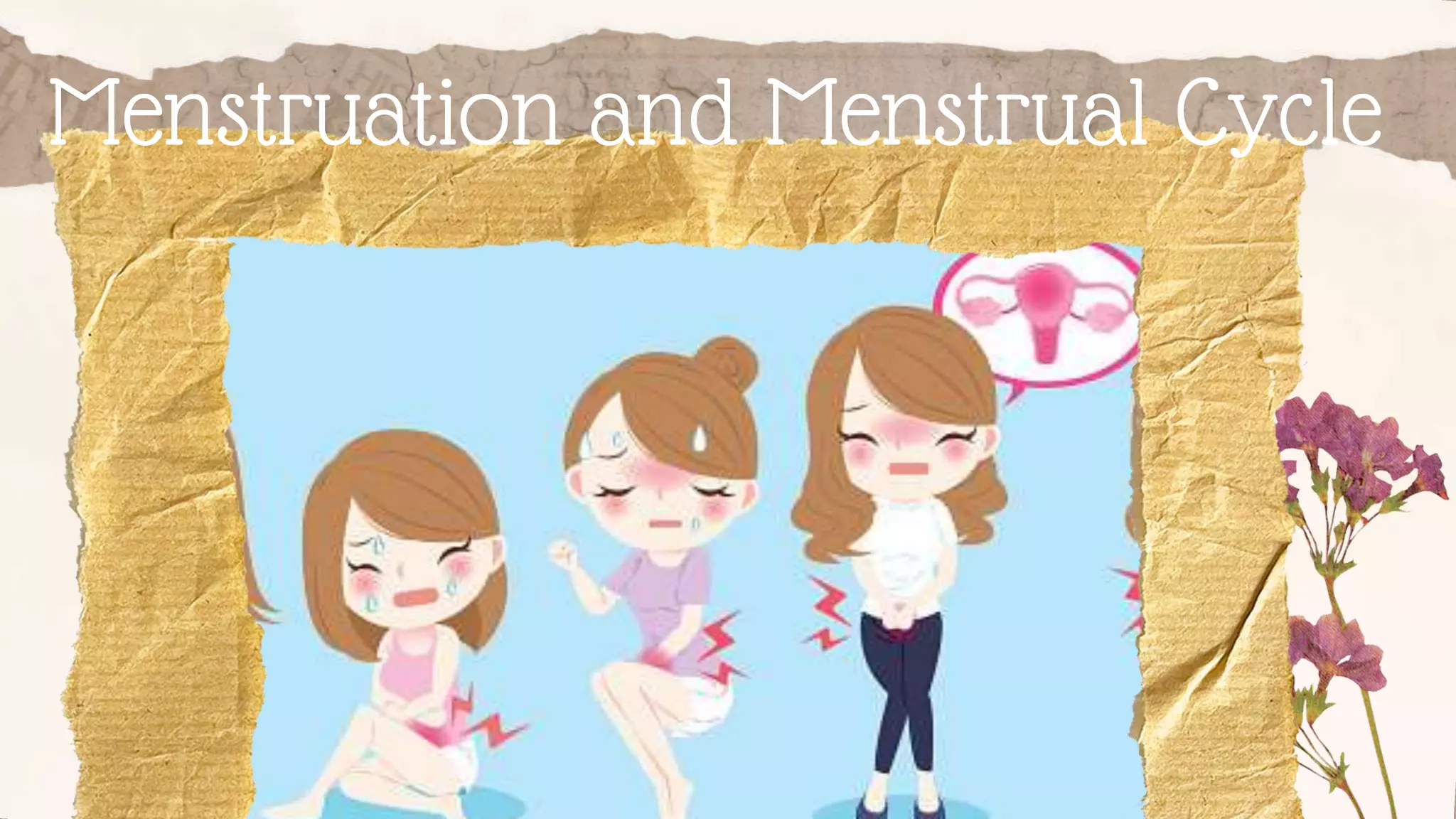 The Menstrual Cycle- Science Presentation Grade 5.pptx