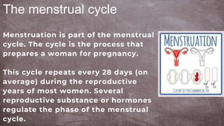 The Menstrual Cycle- Science Presentation Grade 5.pptx