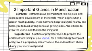 The Menstrual Cycle- Science Presentation Grade 5.pptx