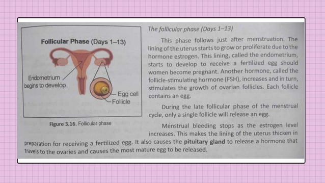 The Menstrual Cycle- Science Presentation Grade 5.pptx | Menopause ...