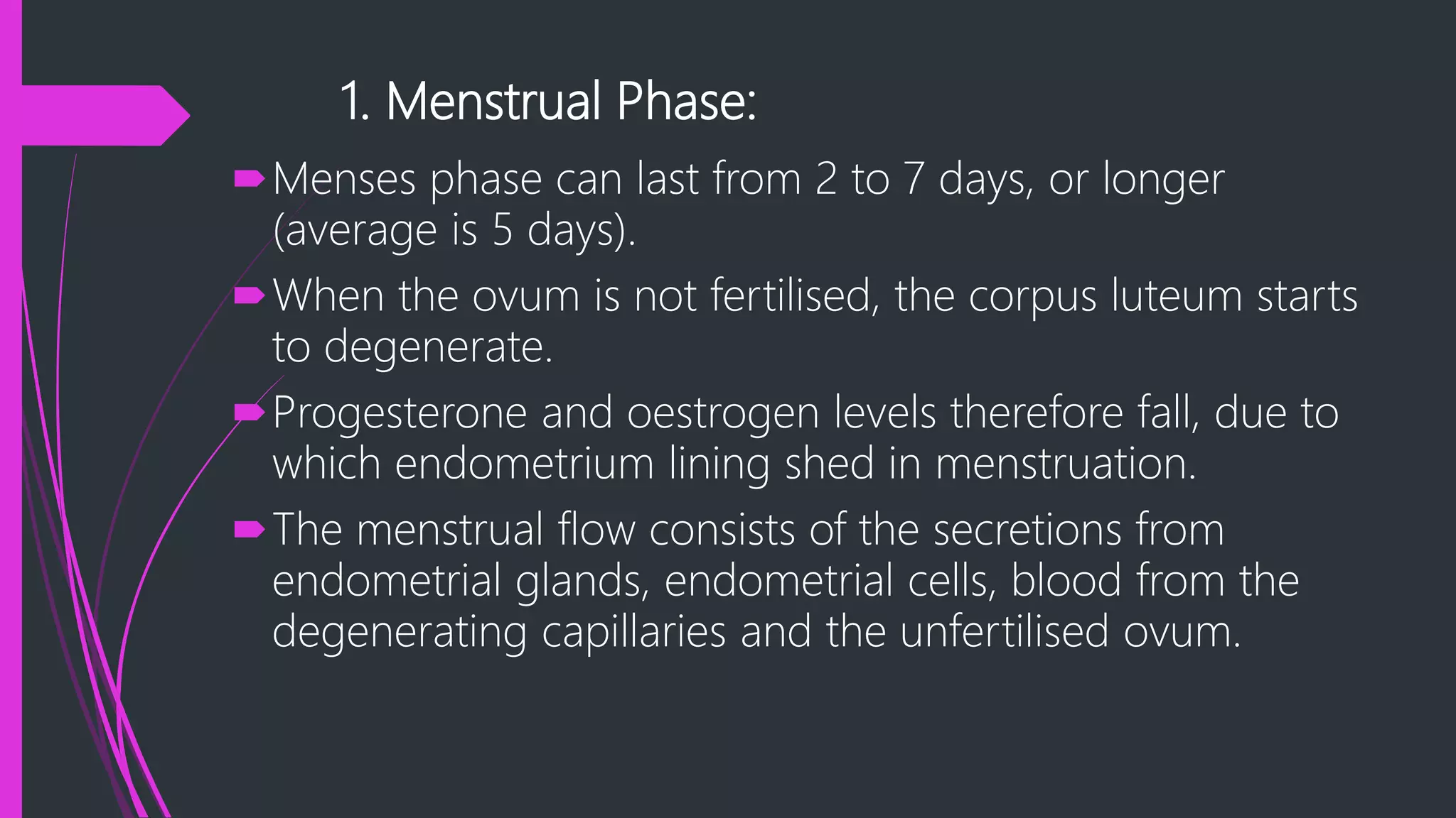 The Menstrual Cycle Female Reproductive Cycle Ppt