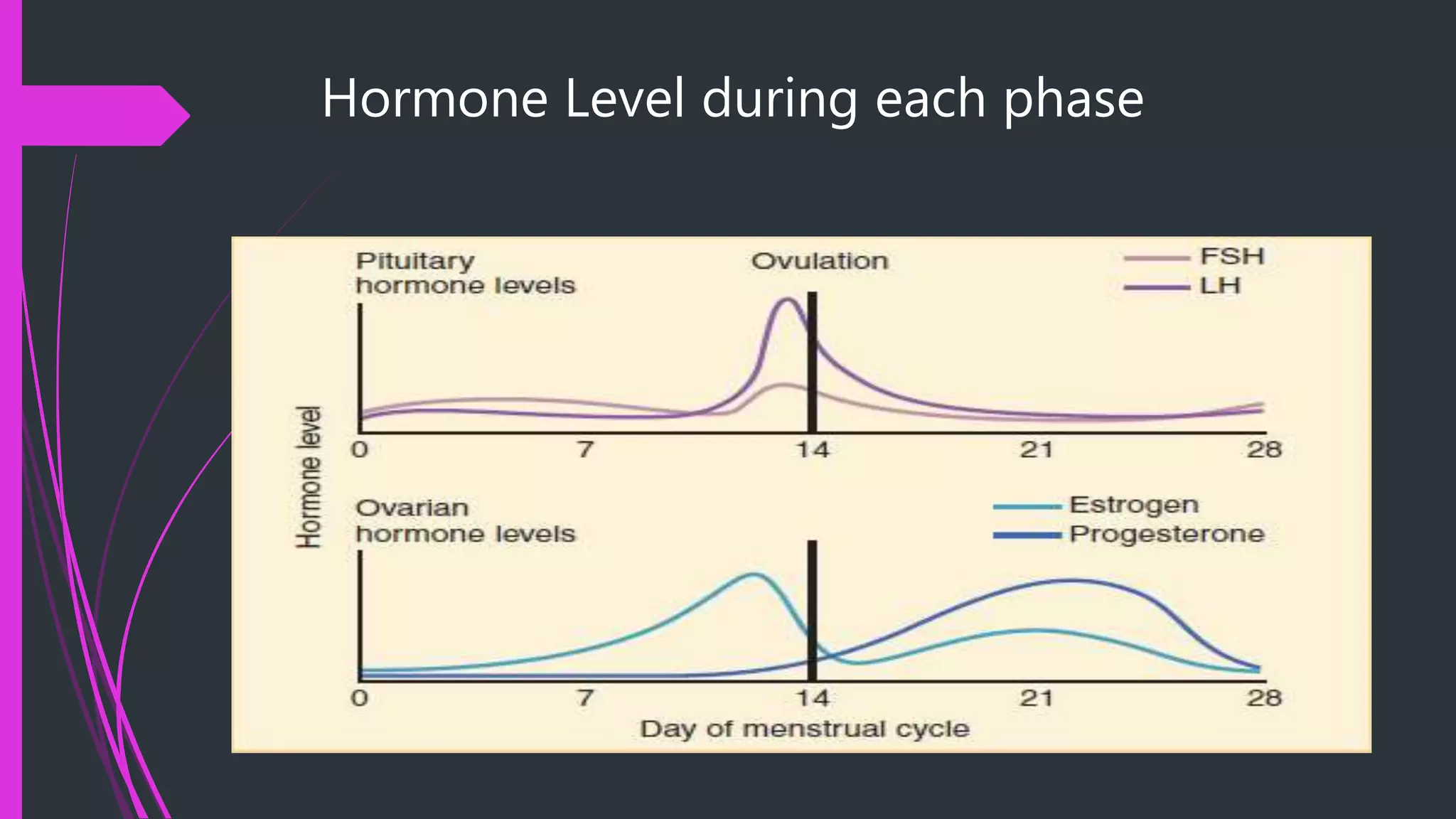 The menstrual cycle/ female reproductive cycle | PPTX