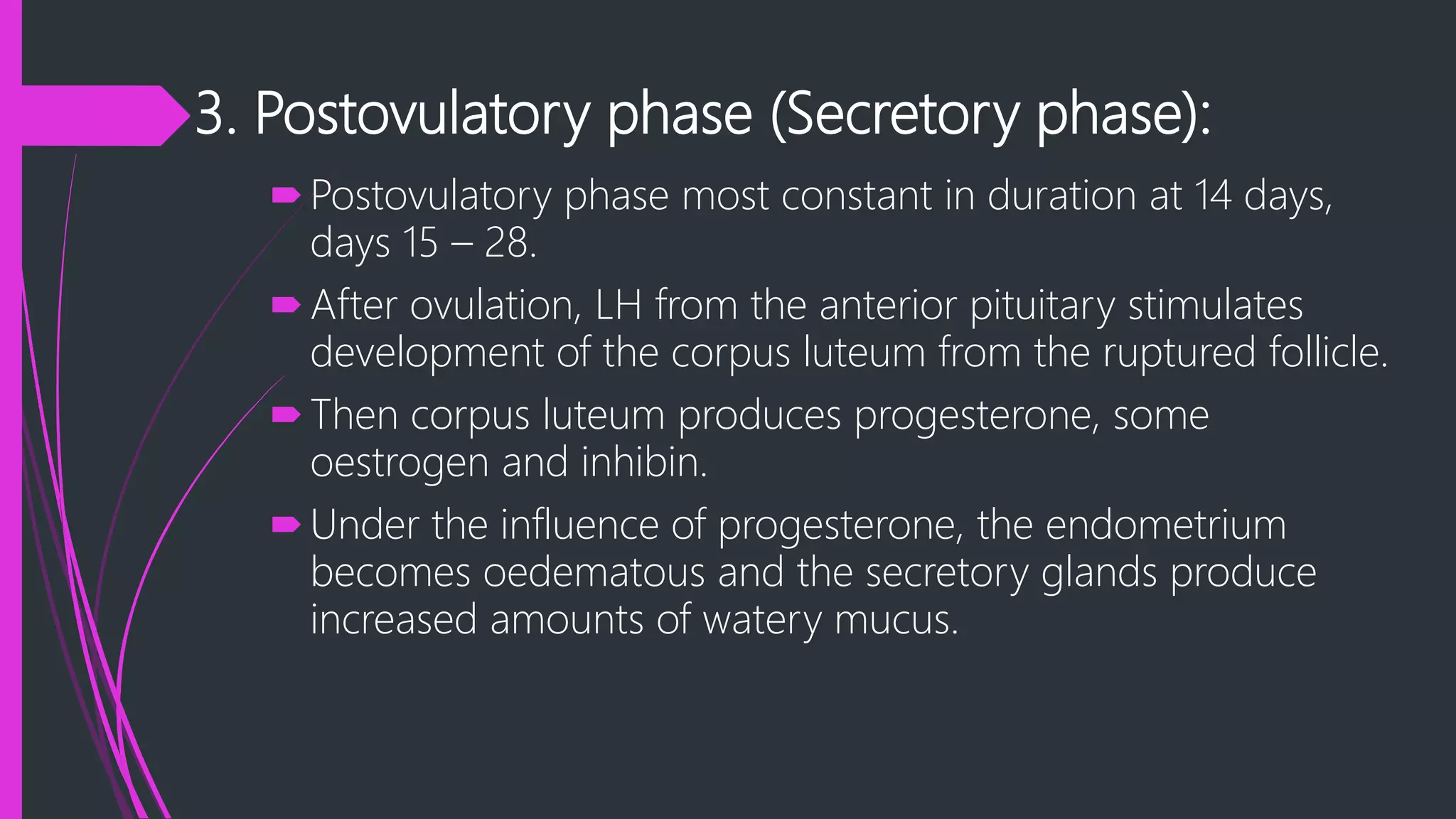 The Menstrual Cycle Female Reproductive Cycle Ppt