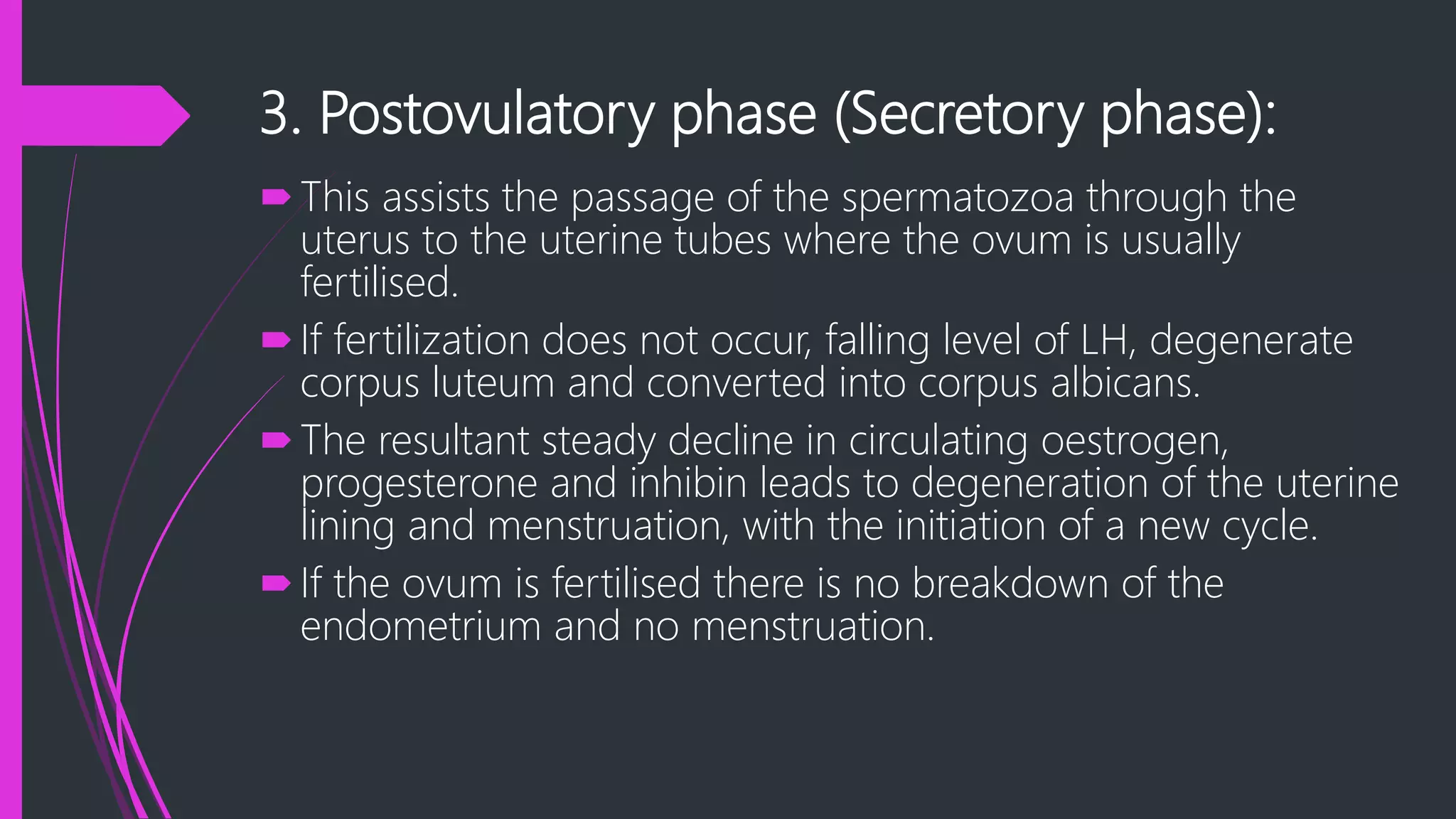The menstrual cycle/ female reproductive cycle | PPTX