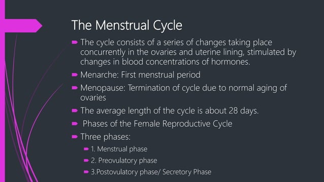 The menstrual cycle/ female reproductive cycle | PPTX