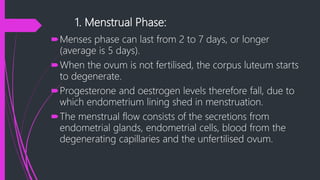 The menstrual cycle/ female reproductive cycle | PPTX