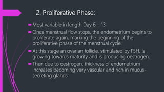 The menstrual cycle/ female reproductive cycle | PPTX