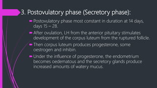 The menstrual cycle/ female reproductive cycle | PPTX