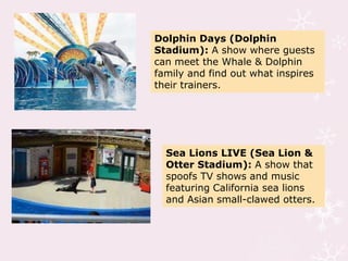 Theme parks | PPTX