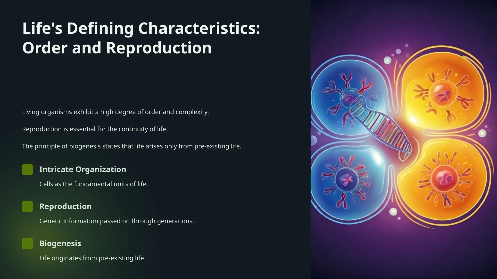 Themes-on-Life-A-Multifaceted-Perspective.pptx