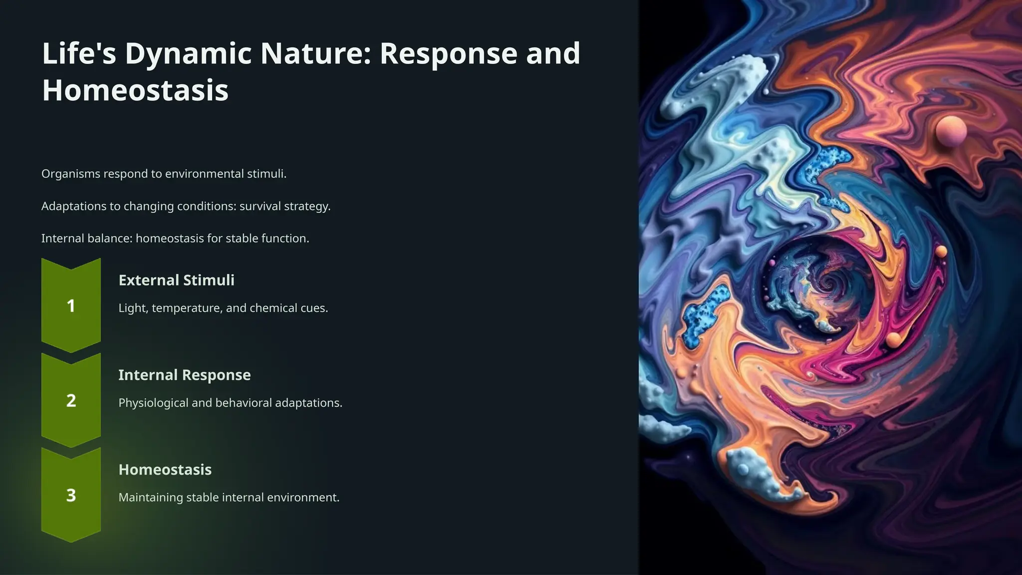 Themes-on-Life-A-Multifaceted-Perspective.pptx