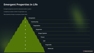 Themes-on-Life-A-Multifaceted-Perspective.pptx