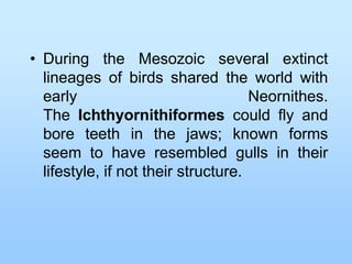 Themes of avian systematics | PPTX