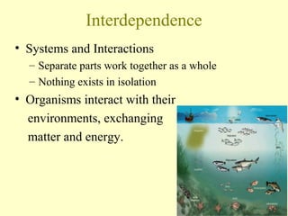 Themes of bio detailed | PPT
