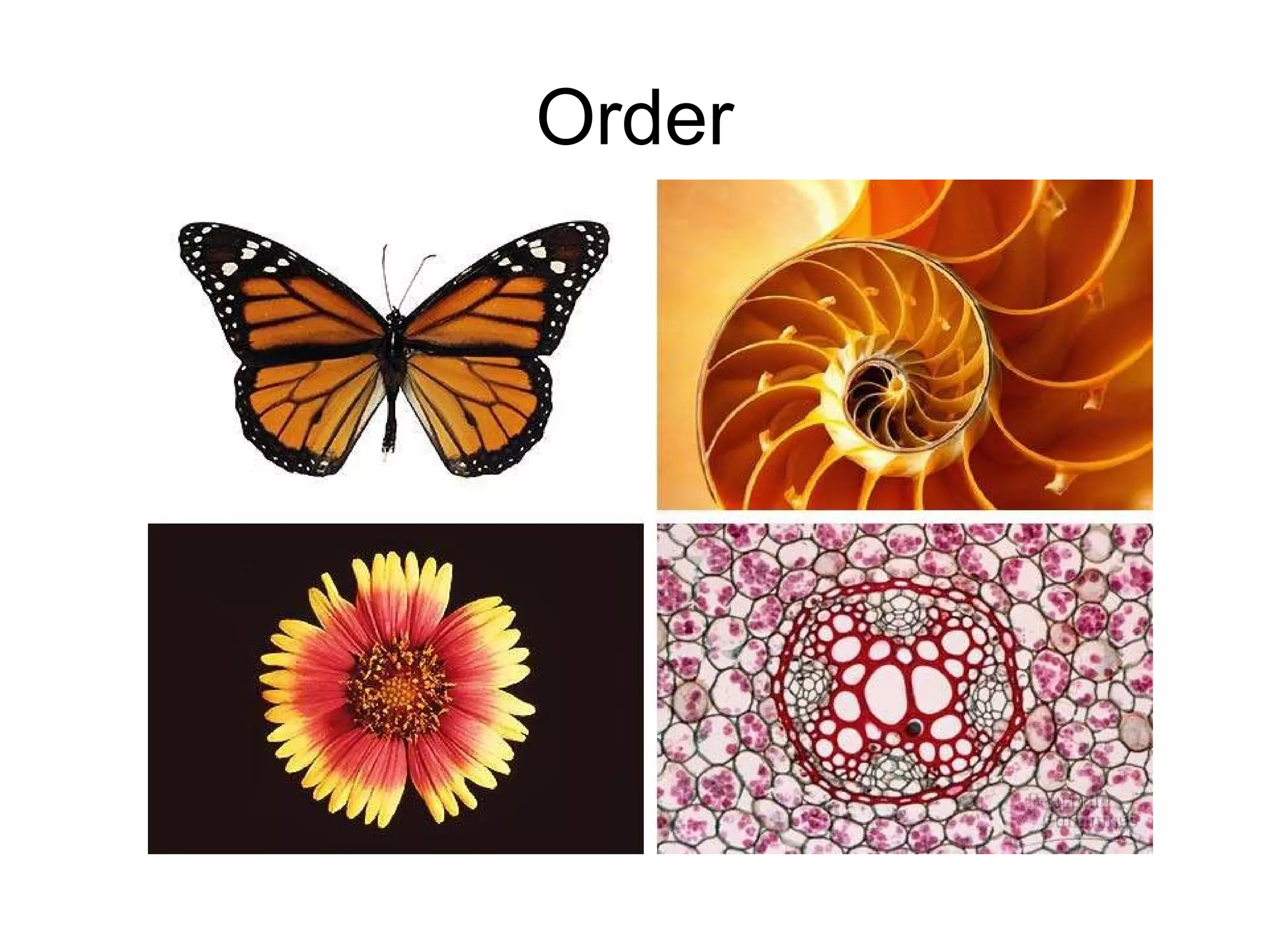 Biology ~ Themes Of Biology | PPT