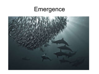 Biology ~ Themes Of Biology | PPT