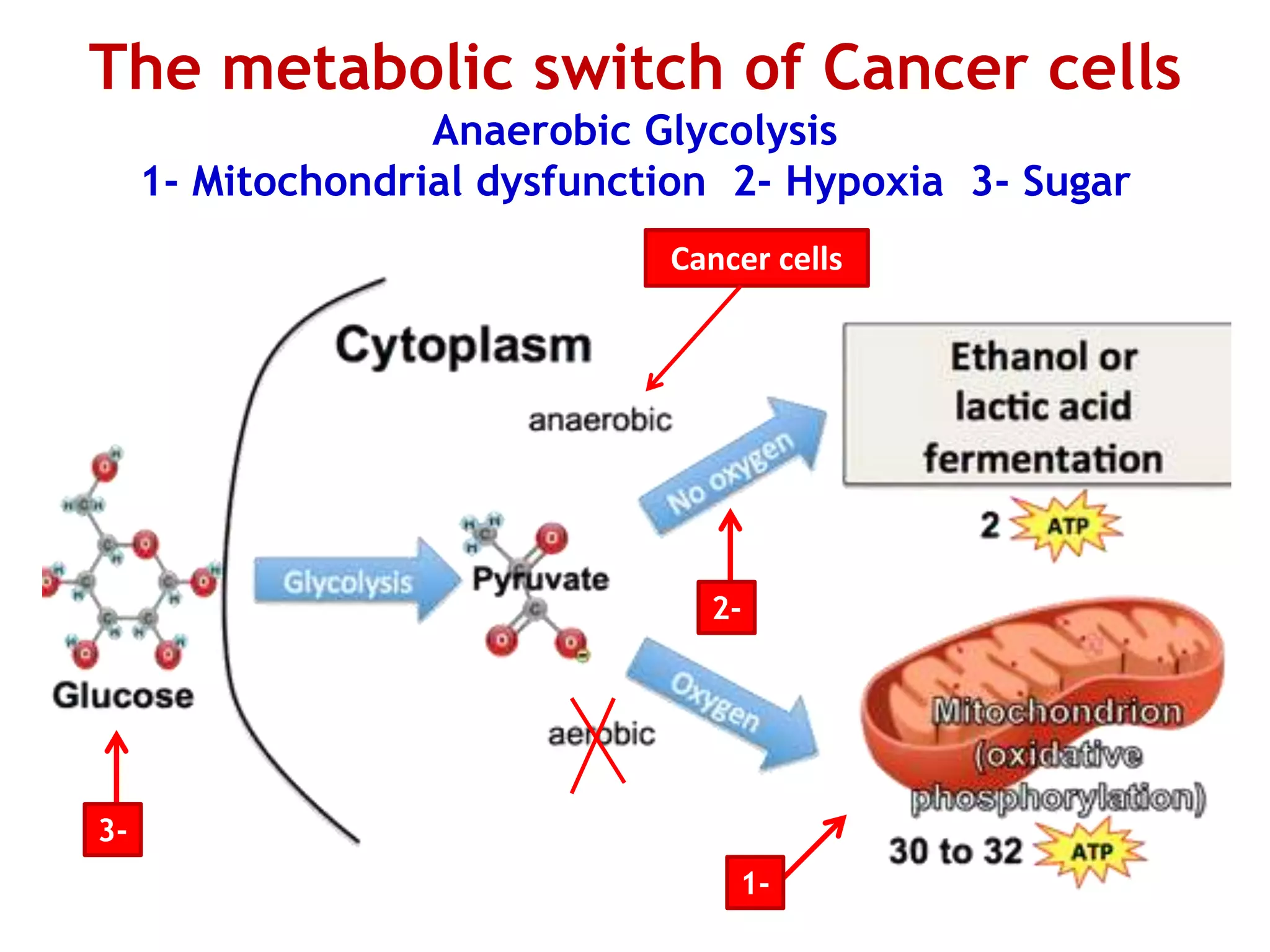 The metabolic approach to cancer (2) | PPTX