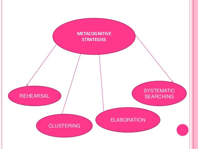 The metacognitive process