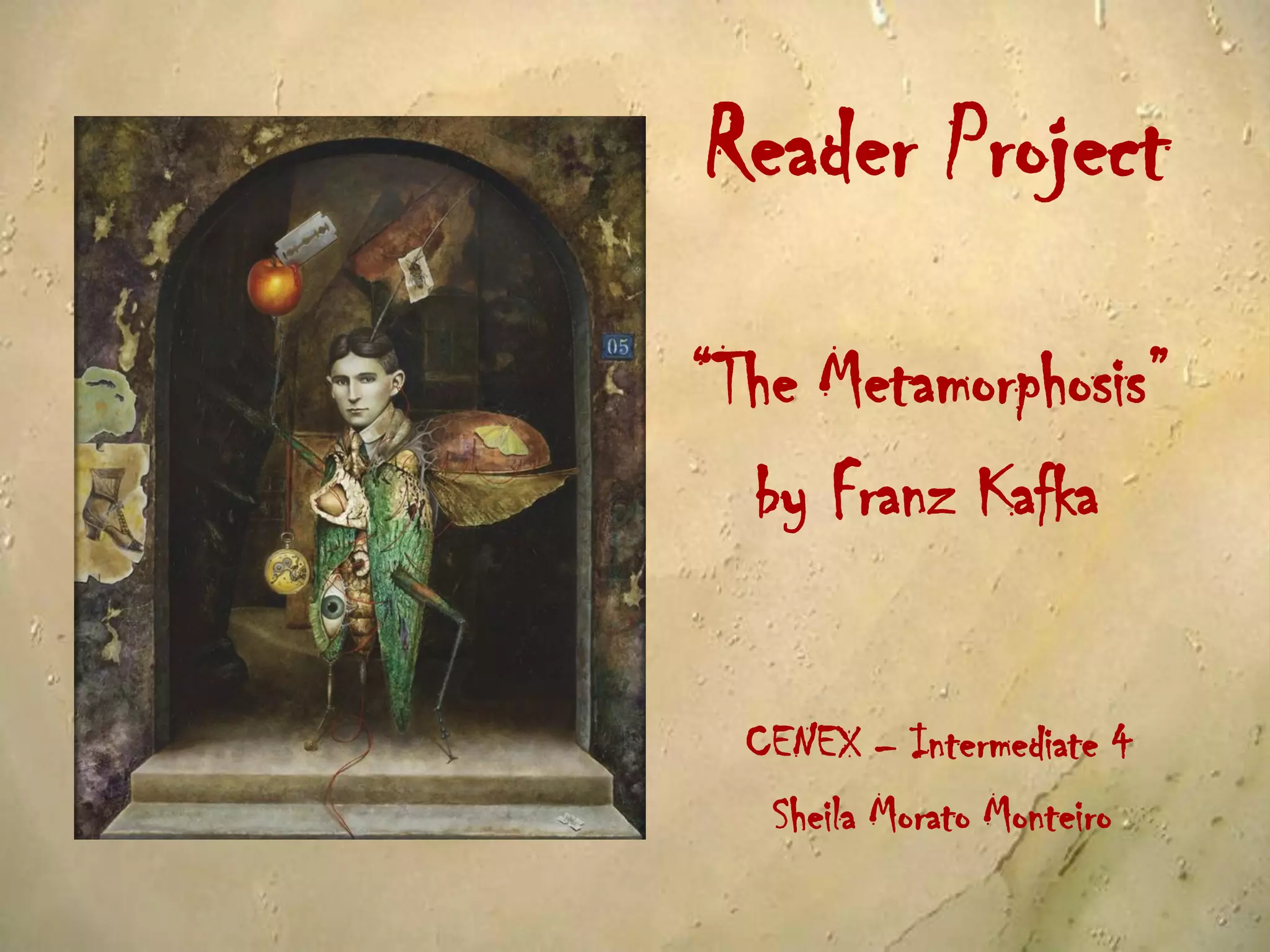 The metamorphosis project | PDF