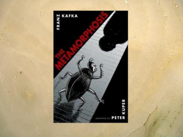 The metamorphosis project | PDF