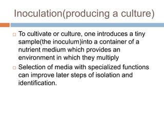 The methods for studying microorganisms | PPTX