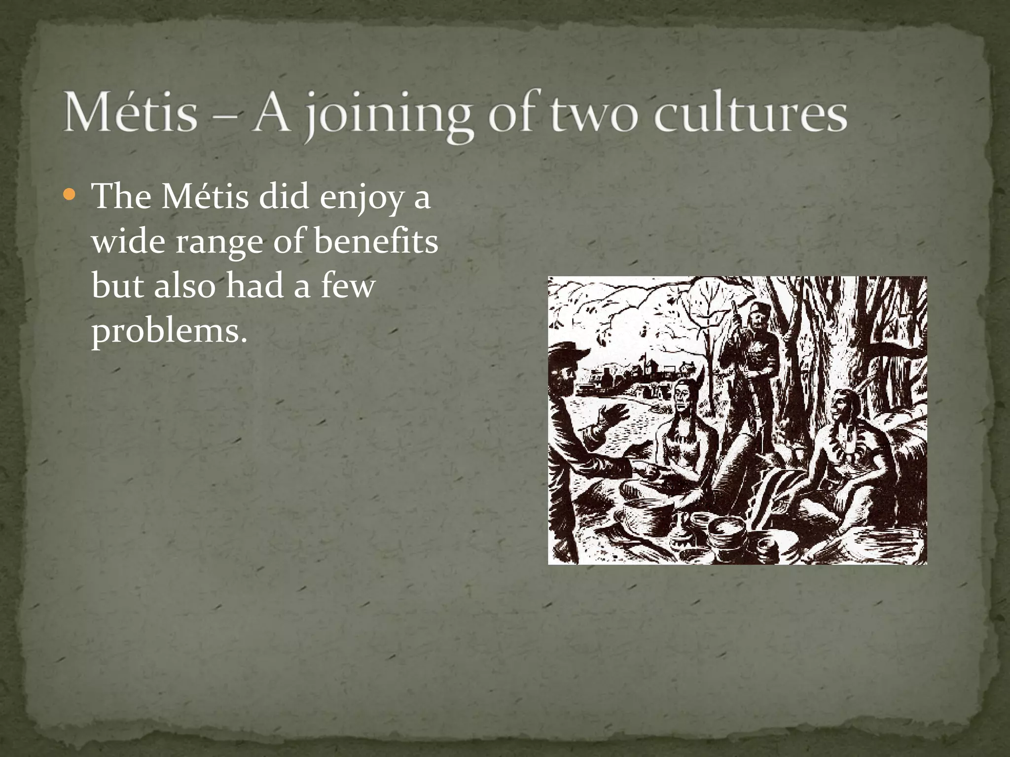 The metis | PPT