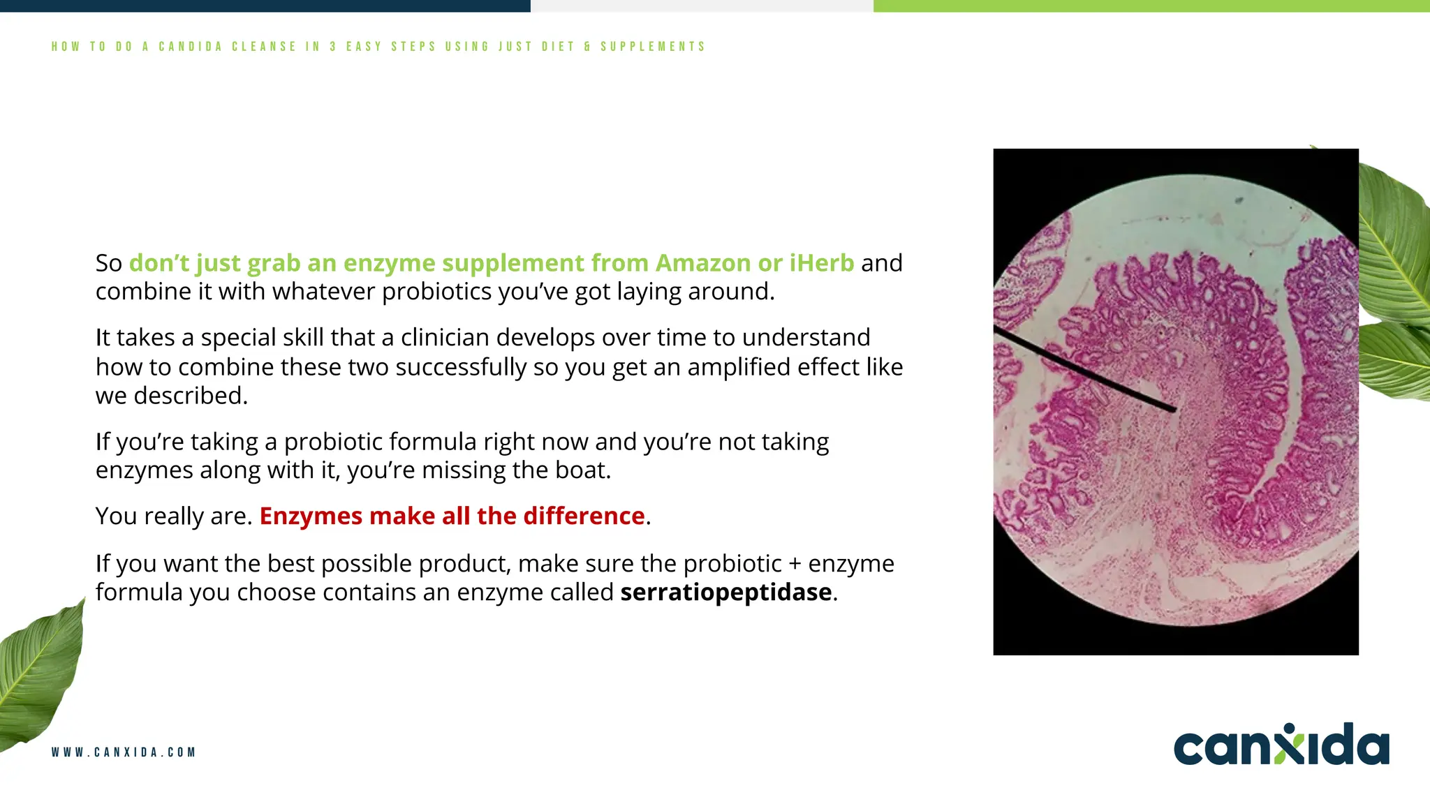 The MEVY Diet Meat, Eggs, Vegetables, Yogurt.pdf