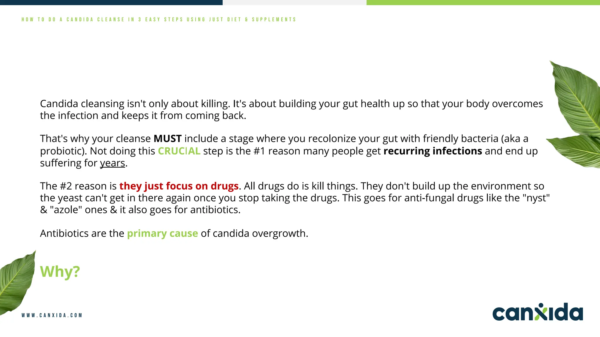 The MEVY Diet Meat, Eggs, Vegetables, Yogurt.pdf