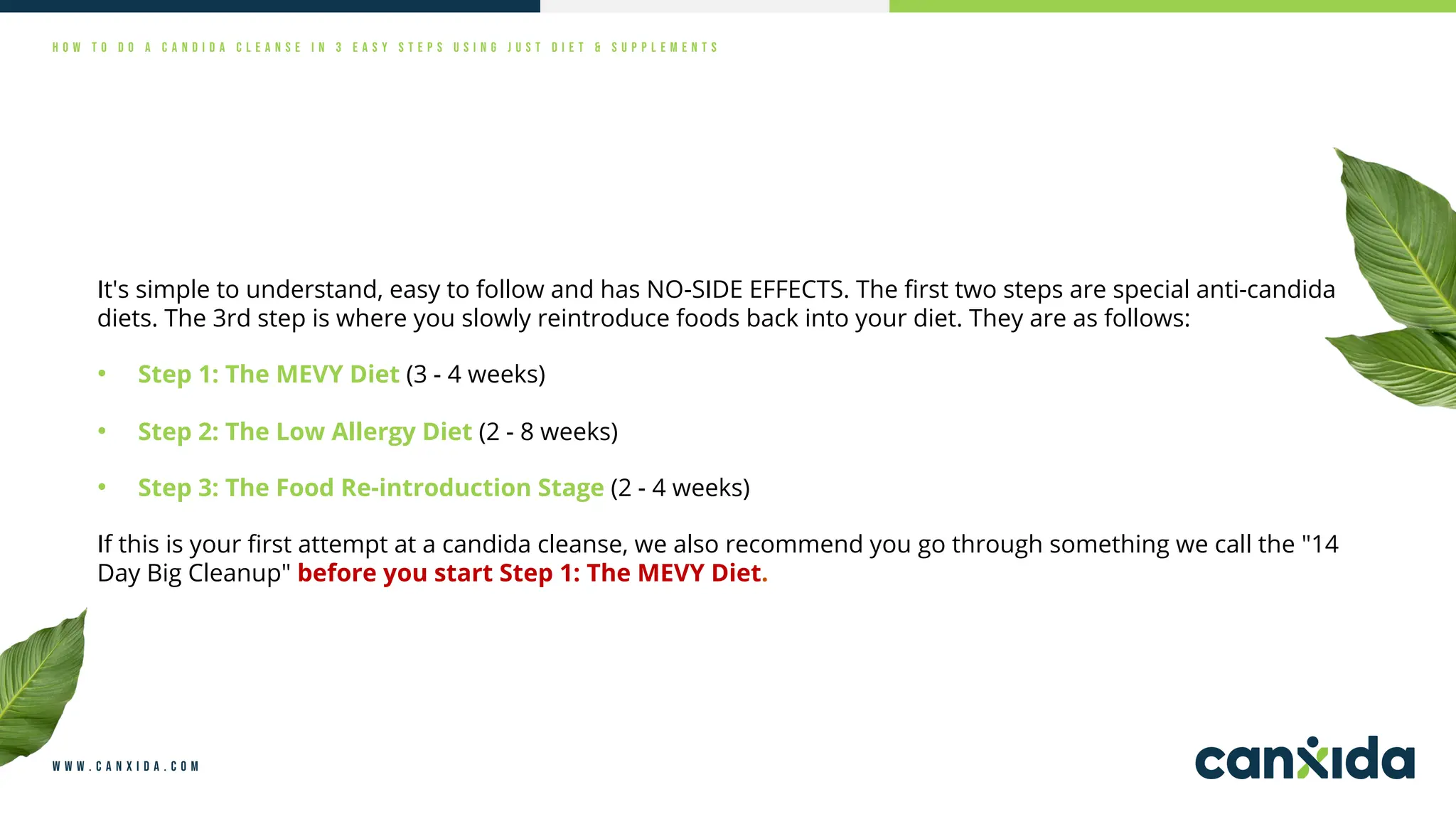 The MEVY Diet Meat, Eggs, Vegetables, Yogurt.pdf