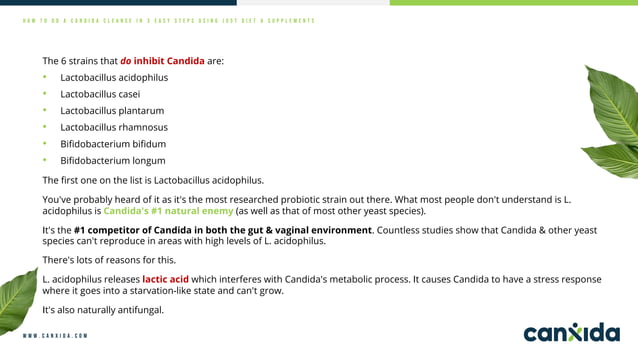 The MEVY Diet Meat, Eggs, Vegetables, Yogurt.pdf
