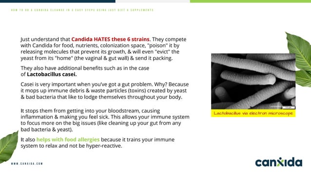 The MEVY Diet Meat, Eggs, Vegetables, Yogurt.pdf