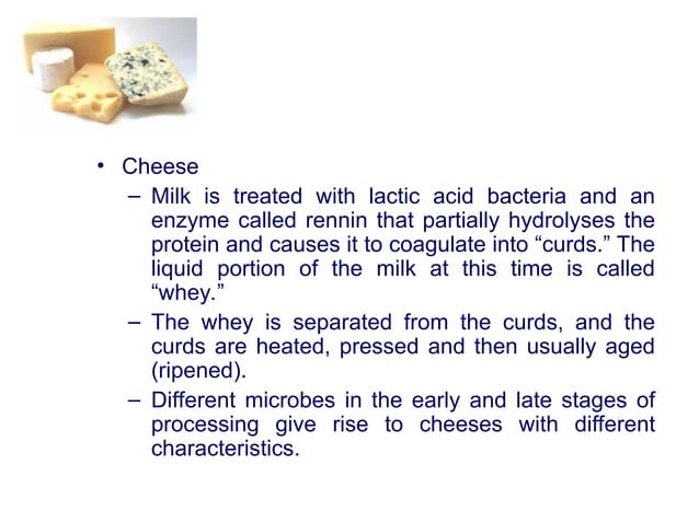 The Microbiology of Fermented Foods .ppt
