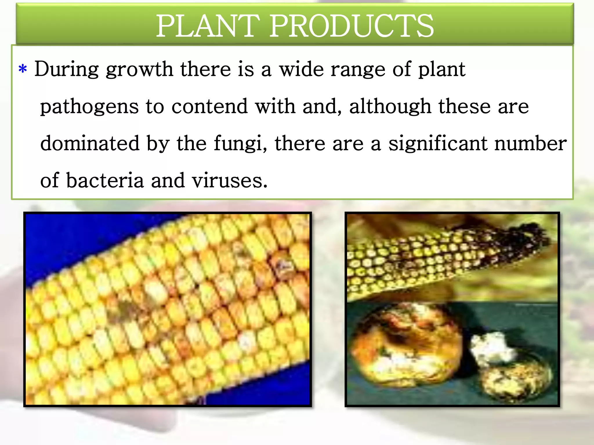 The microbiology of food spoilage | PPTX