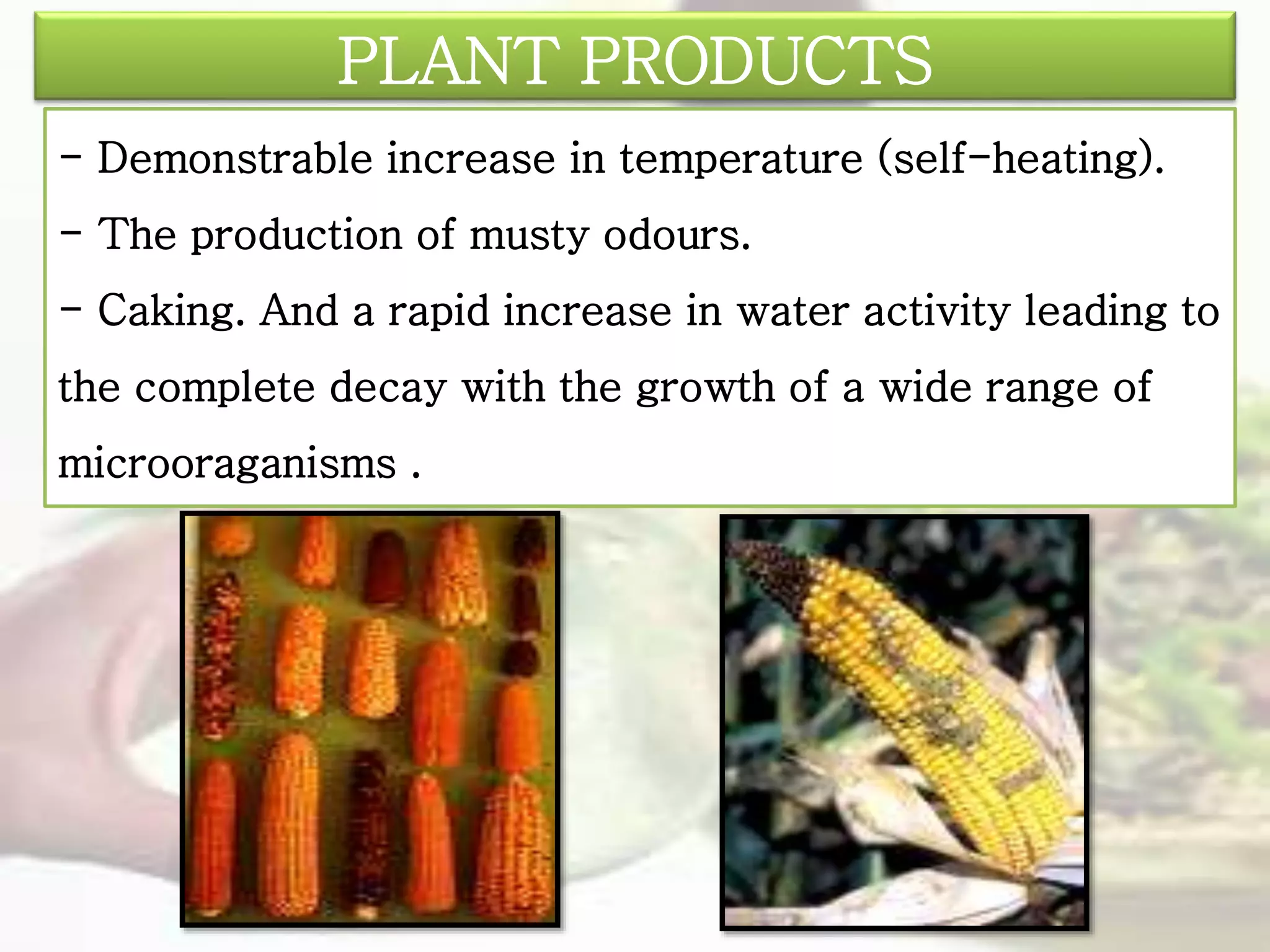The microbiology of food spoilage | PPTX