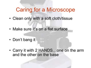 The microscope | PPT