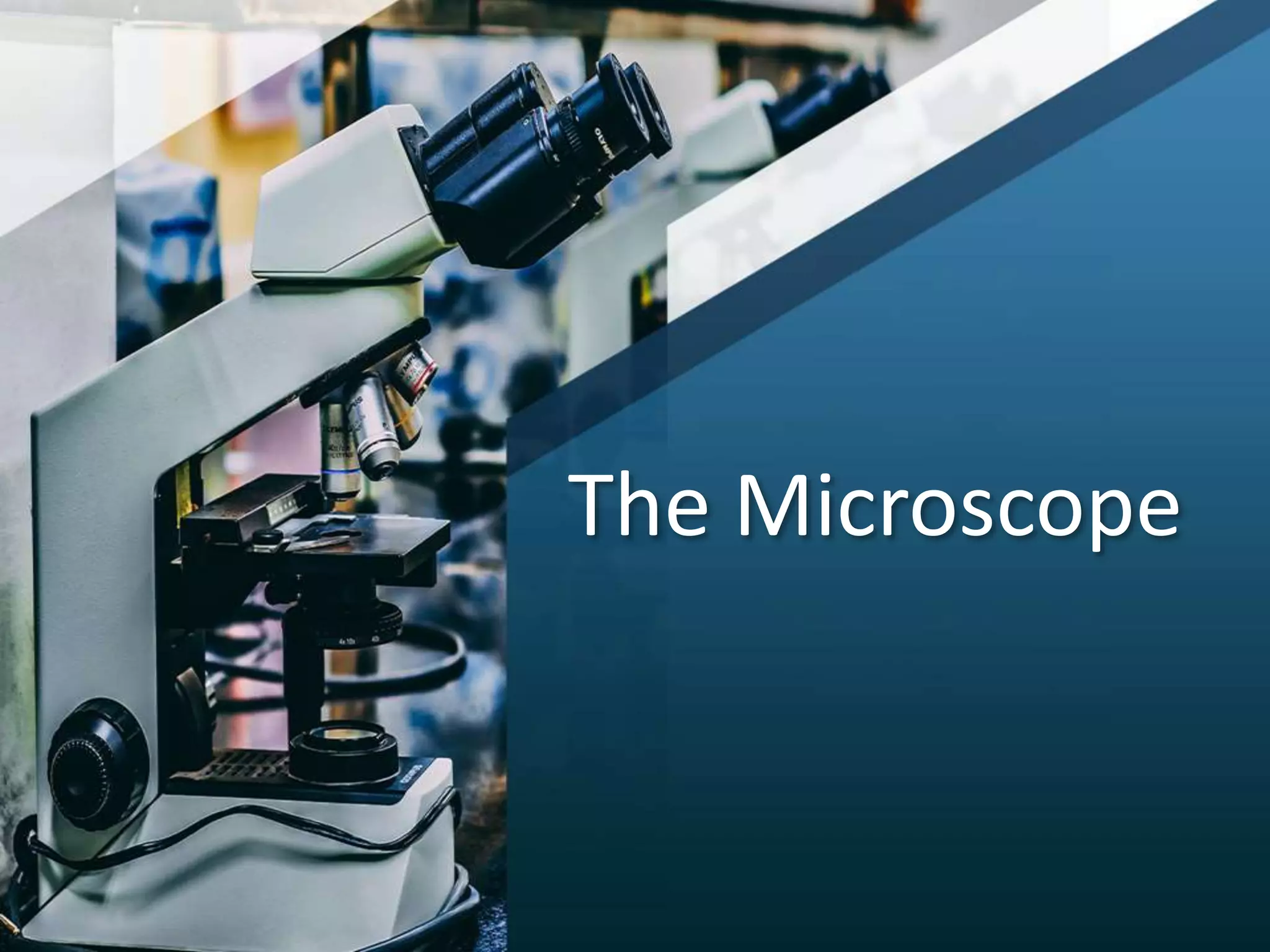The microscope | PPT