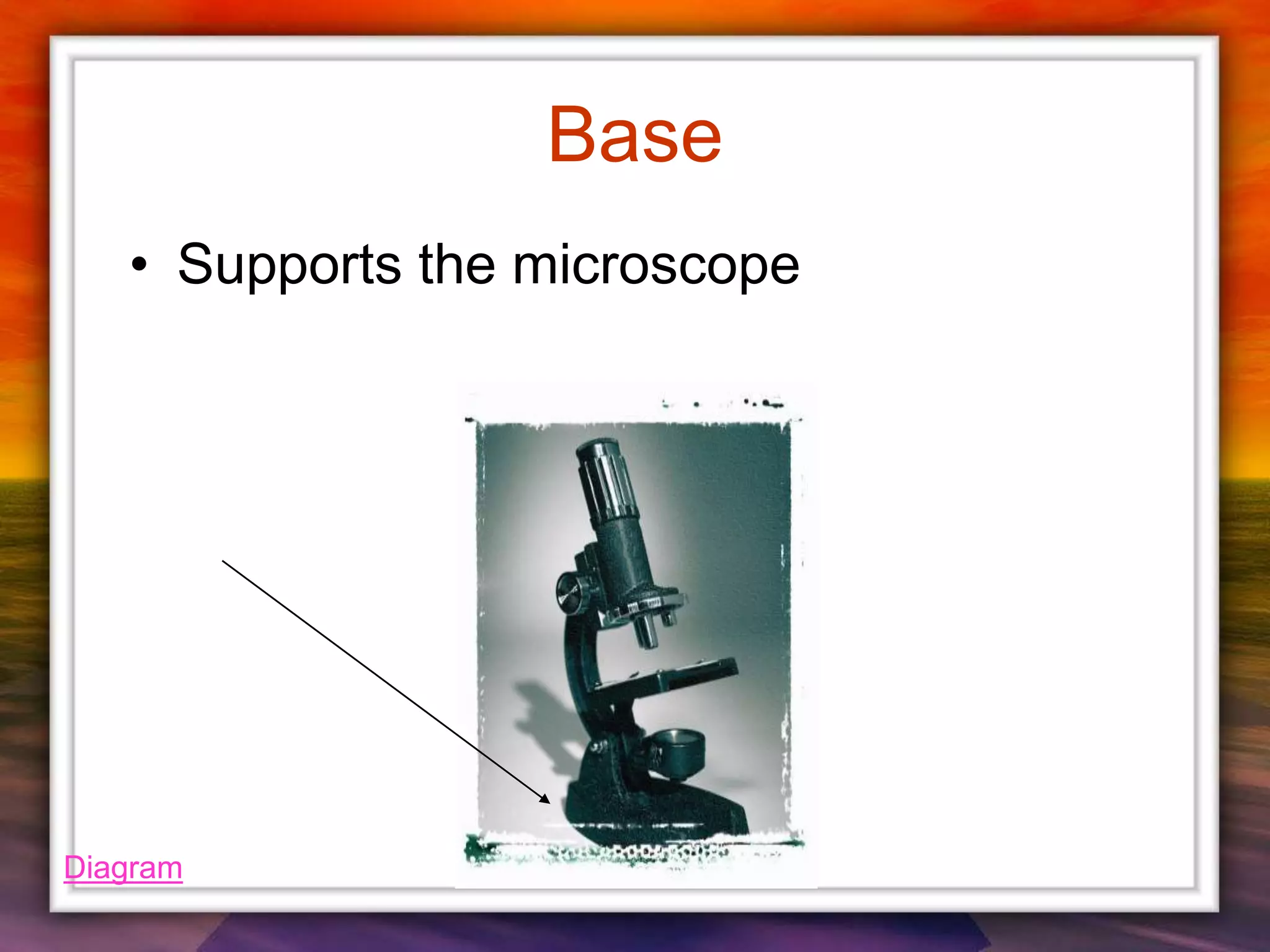 The Microscope.ppt