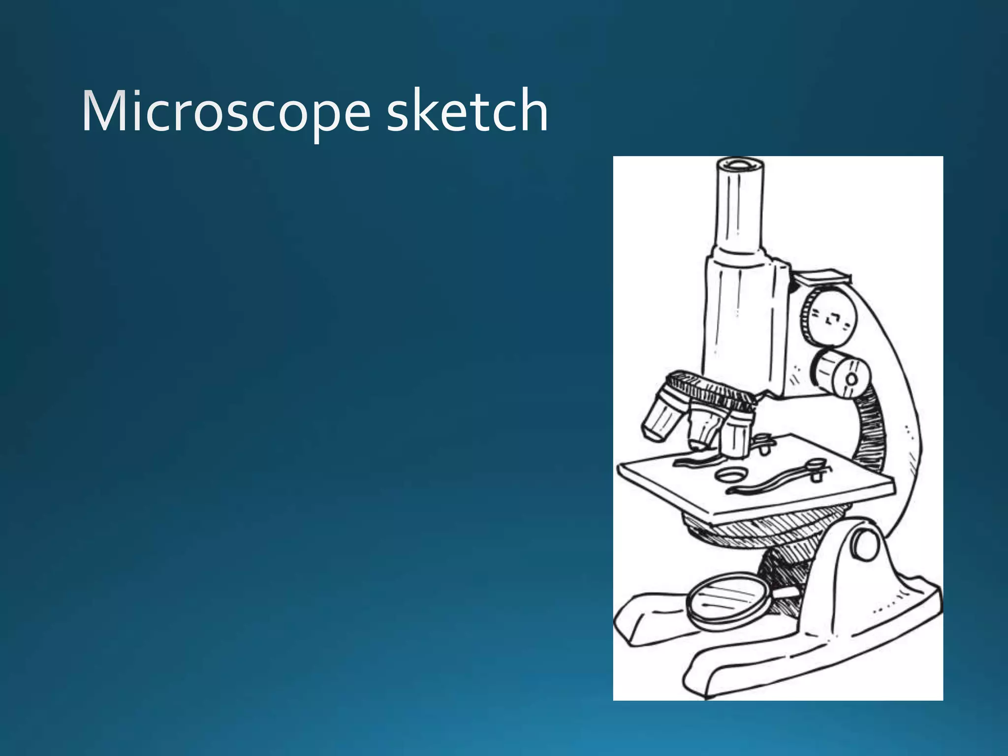 The_Microscope.ppt