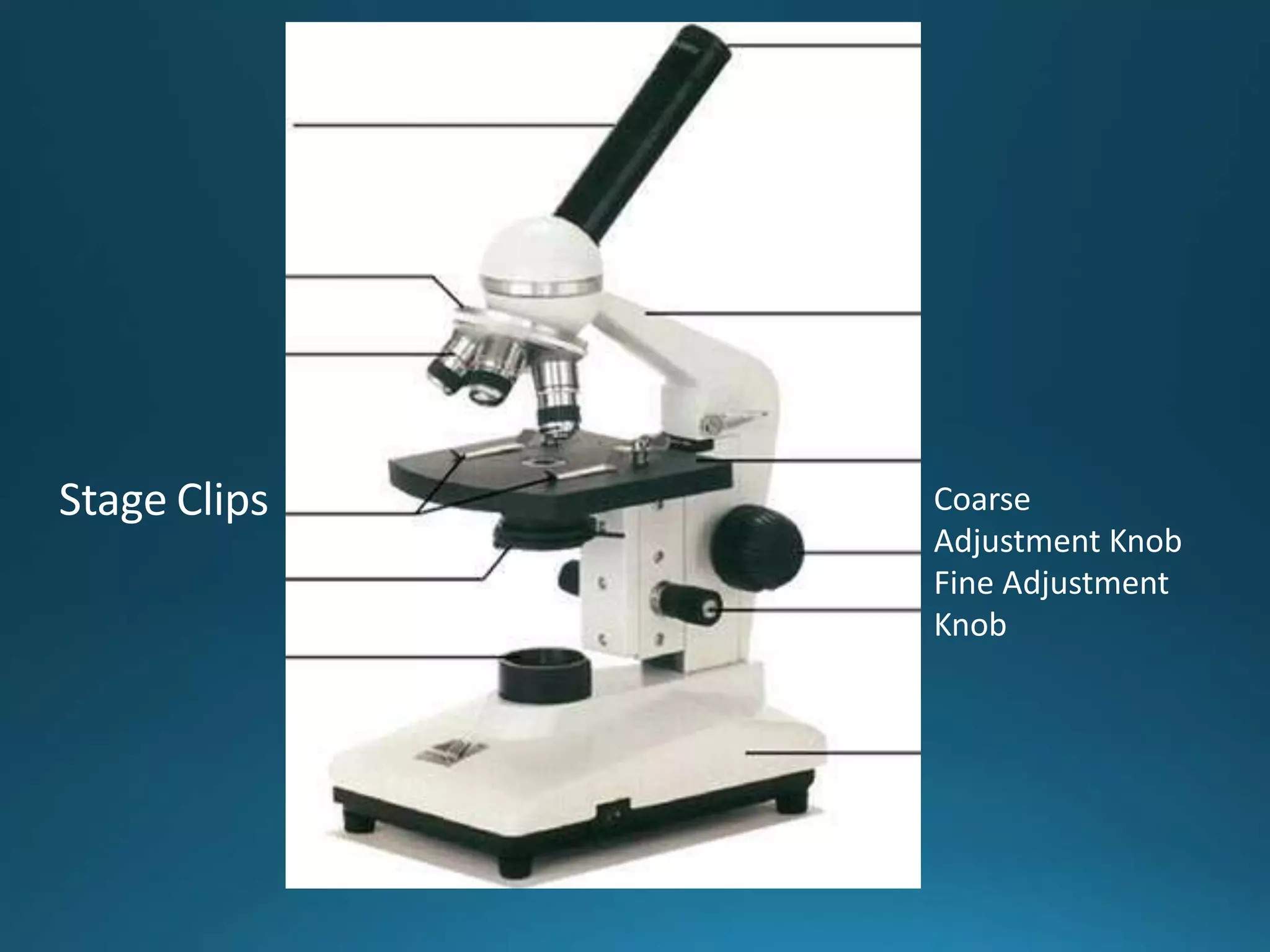 The_Microscope.ppt
