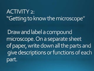 The_Microscope.ppt