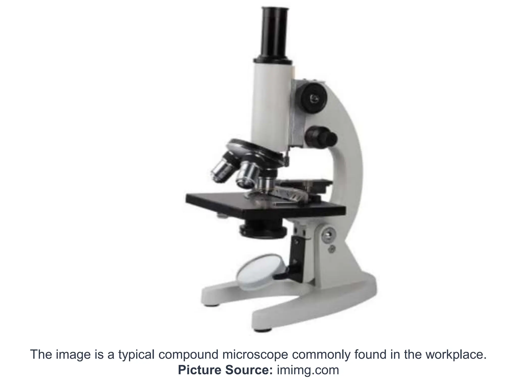 The_Microscope.ppt